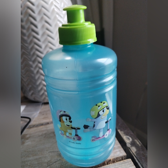 Other | Bluey Water Bottle | Poshmark